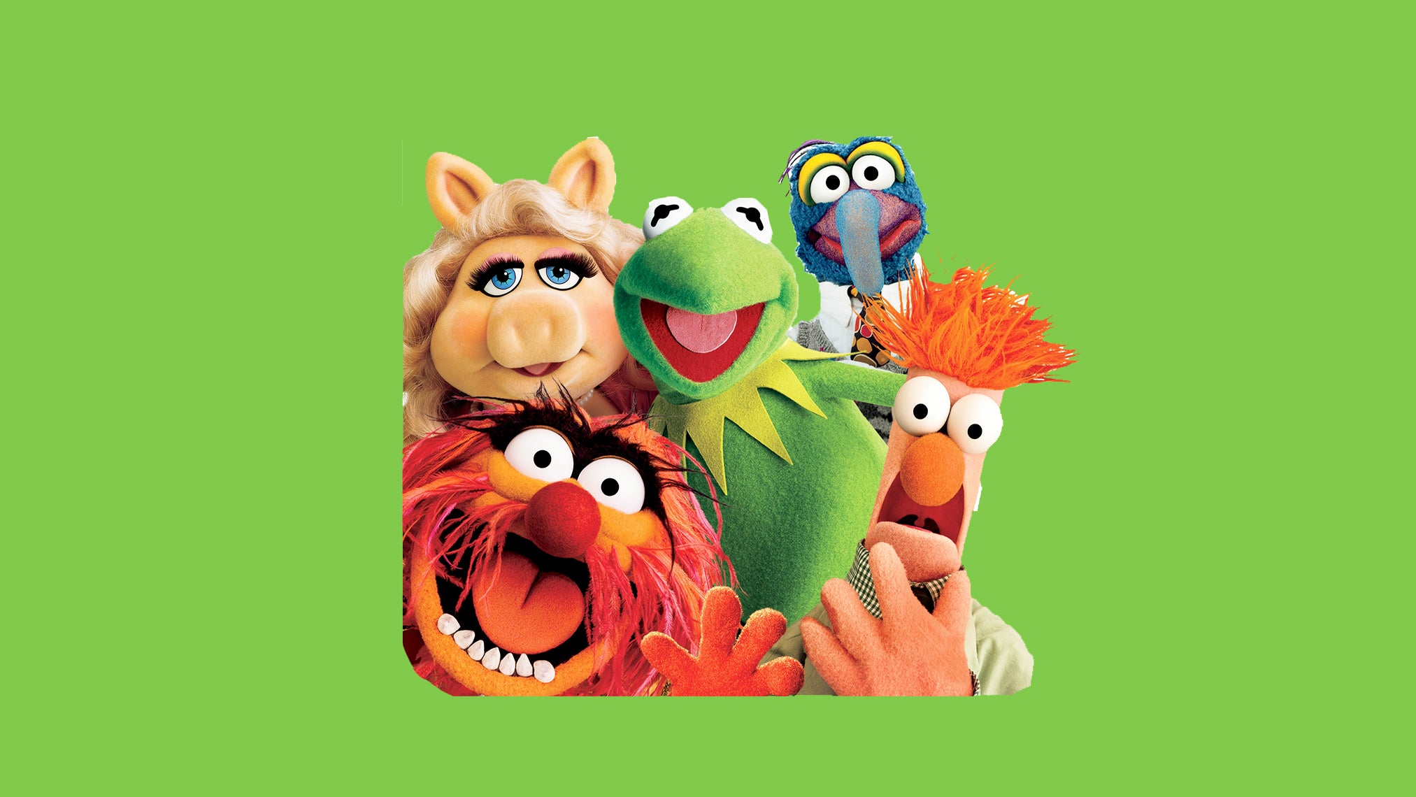 The Muppets Pyjamas – Kermit, Miss Piggy & Friends | Pyjama Planet